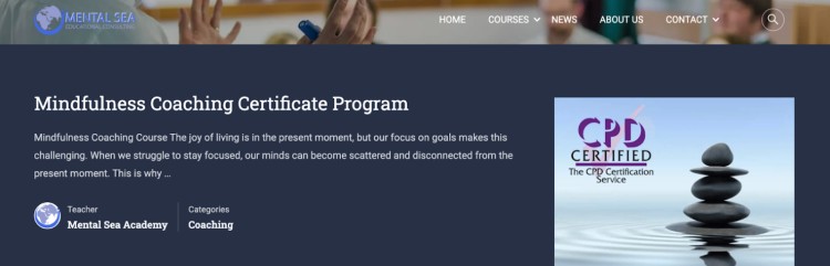 12 Top Mindfulness Coach Certification Programs (2026 Ranking + Guide)